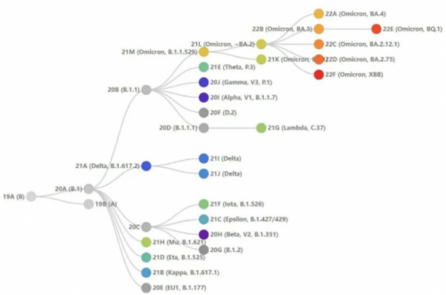 广州市八医院捕获XBB等变异株，华大智造为新冠变异监测提供底层工具_证券之星